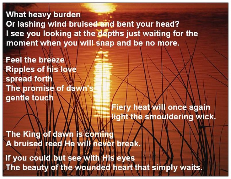 A Bruised Reed | Stevemidkiff's Blog